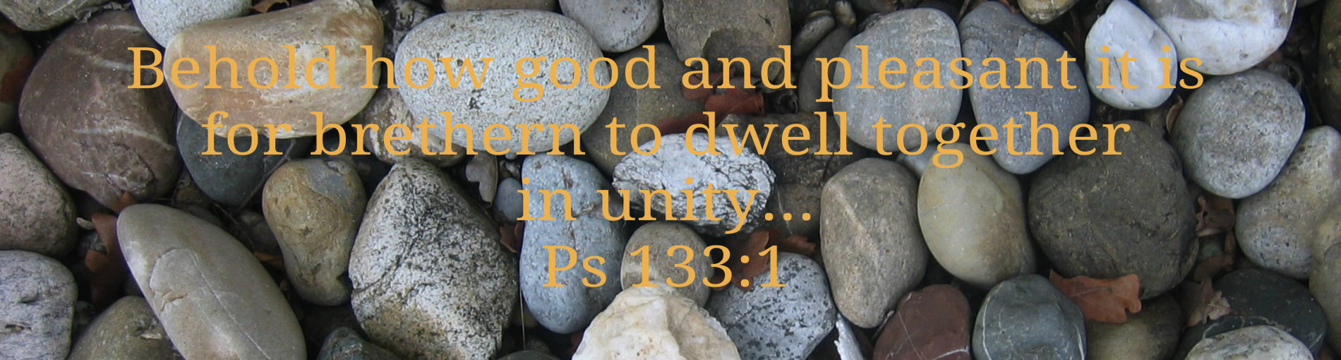 LCMI - Logos College